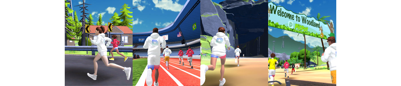 Introduction to PitPat-app